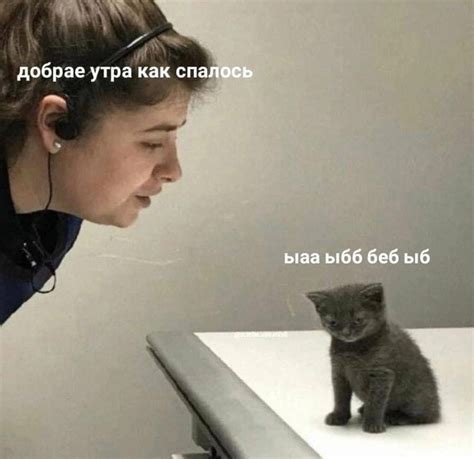 доброе утро добрае утра как спалось тебе ыаа ыбб беб ыб кот кошка