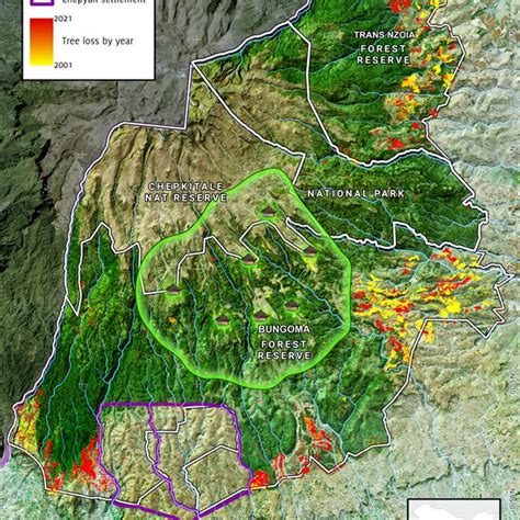 Tree Loss Data For Hansen Et Al Showing The Advance