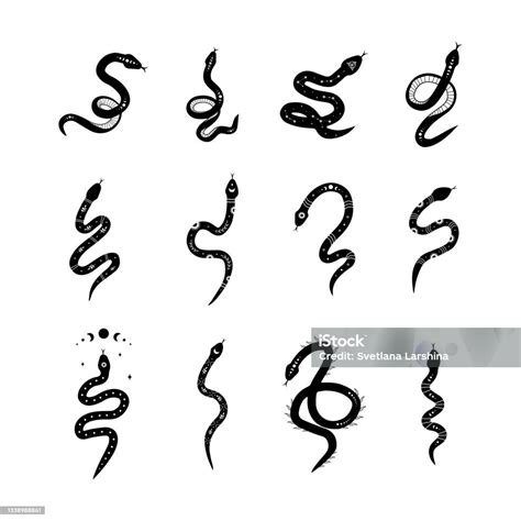 달보헤미안 스타일의 매직 스네이크 트렌디 한 미니멀 한 스타일로 신비한 상징의 컬렉션 난교 벡터 일러스트레이션 고딕 양식에 대한