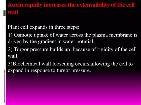 Auxin Signal Transduction And Perception PPT
