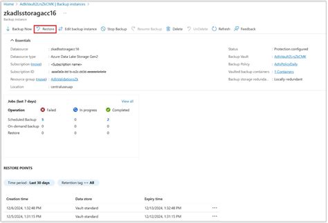 Azure Portal を使用して Azure Data Lake Storage を復元する プレビュー Azure Backup