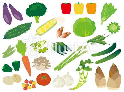 春から夏の旬野菜イラスト No 1483620無料イラストならイラストAC
