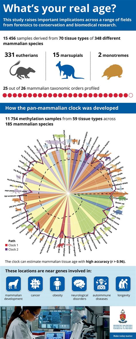 Developing The Pan Mammalian Clock University Of Pretoria