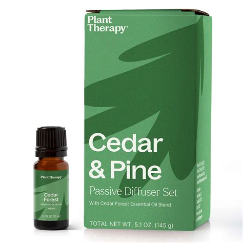 Diffusers For Essential Oils Ultrasonic And Passive Aromatherapy