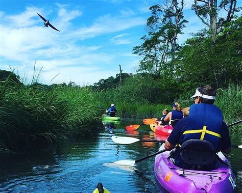 Cape Cod Beer 2025 All You Need To Know Before You Go