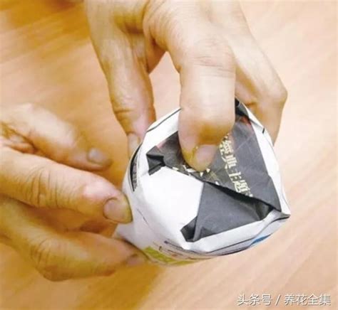 居家育苗如果不用育苗盤還有什麼容器呢 試試報紙花盆吧 每日頭條