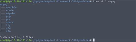 Introduction To Metasploit Hacking Truth In