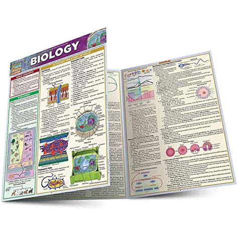 Compare Price Microbiology Chart On
