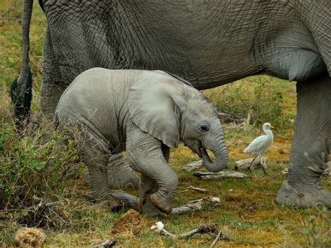 Тур в Кению на 5 дней