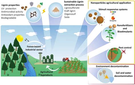 Lignin Nanoparticles Properties Sustainable Extraction Processes From