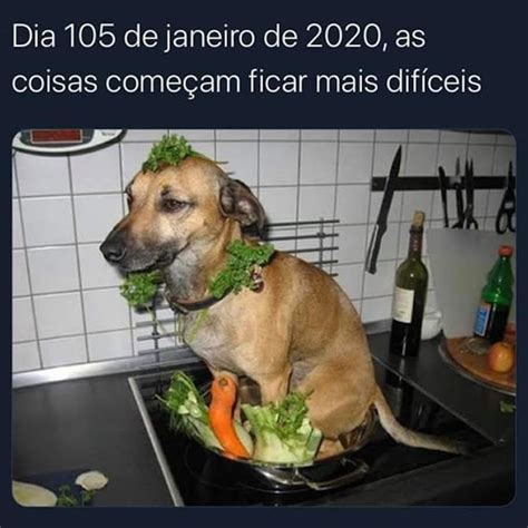 120 memes engraçados para você usar no dia a dia