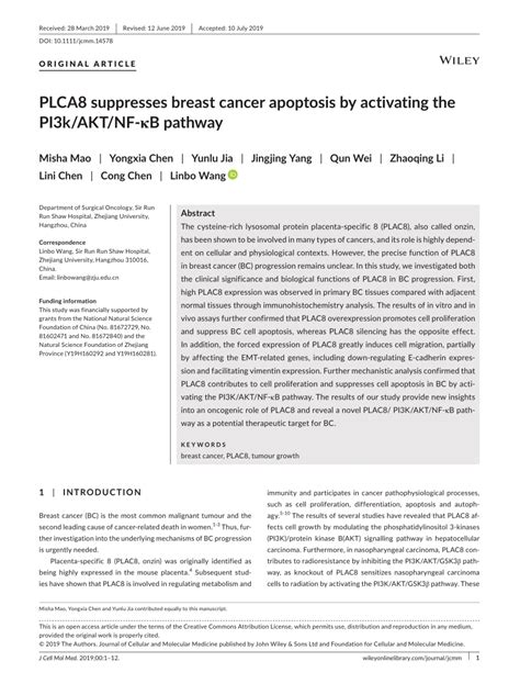 Pdf Plca8 Suppresses Breast Cancer Apoptosis By Activating The Pi3k