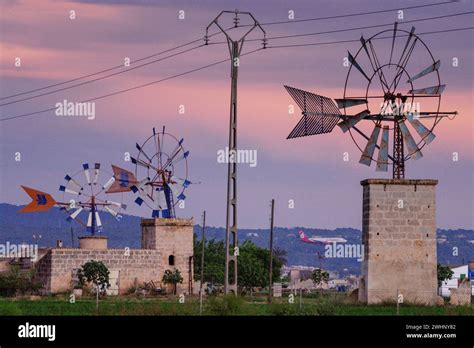 Silueta De Palma Hi Res Stock Photography And Images Alamy