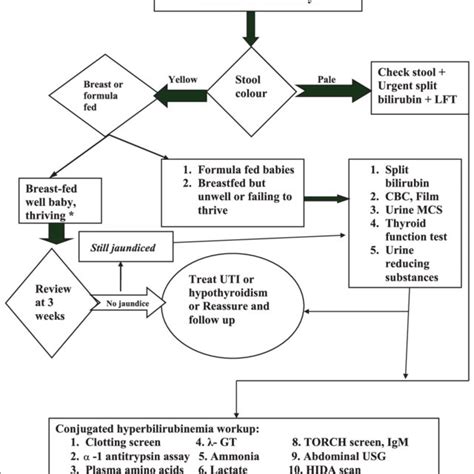 Causes Of Conjugated Hyperbilirubinemia Download Scientific Diagram