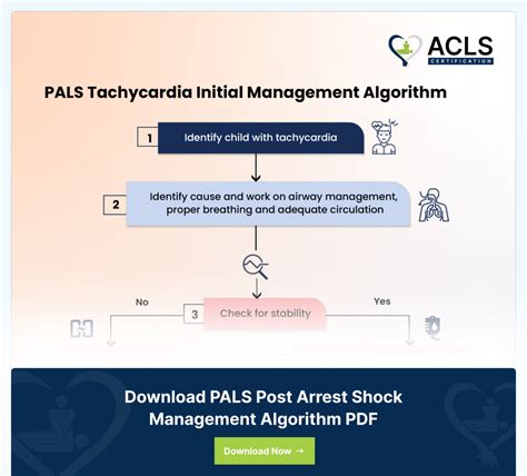 Pals Algorithms Aclsnow