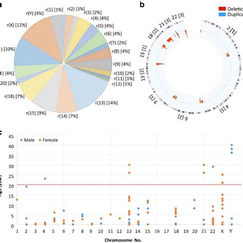 Patterns Of Dynamic Mosaicism And Karyotype Evolution In A Dicentric