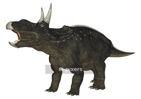 Wall Decal Dinosaur Diceratops Pixers Uk