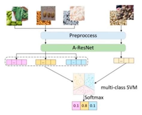 Non Destructive Detection Of Soybean Pest Based On Hyperspectral Image And Attention Resnet Meta