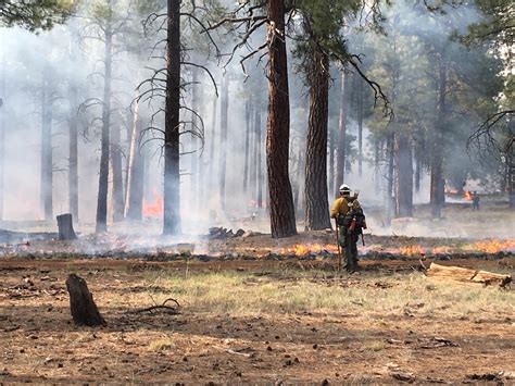 Areas Of Kaibab And Coconino National Forests To Close Because Of Fire