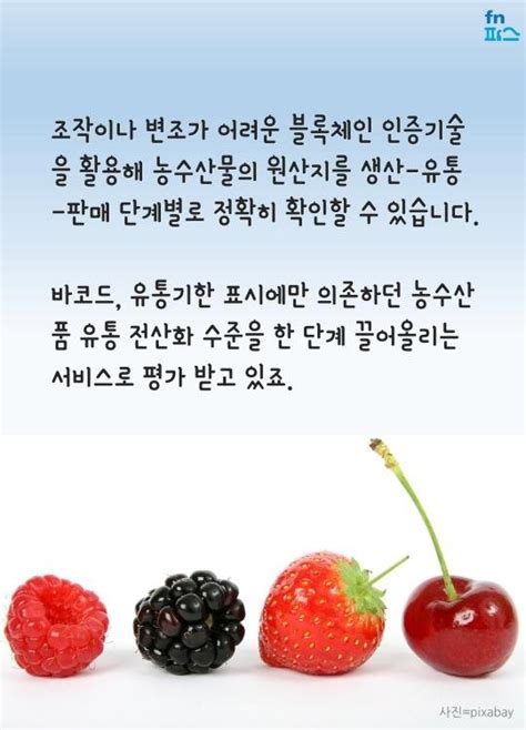 [카드뉴스] 블록체인 이미 산업 곳곳에 스며들었다 파이낸셜뉴스