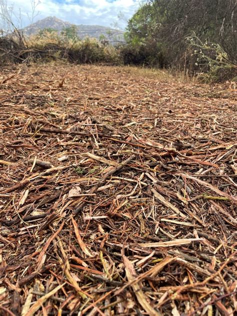 Forestry Mulching — Bar D Bar Landworks Inc
