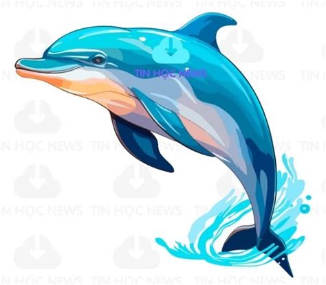 Tải Hình Cá Heo Vector Đẹp File Png Miễn Phí