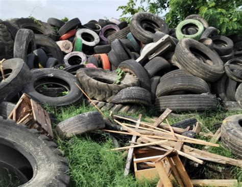 Recolectan Más De 645 Toneladas De Residuos Por “beryl” En Quintana
