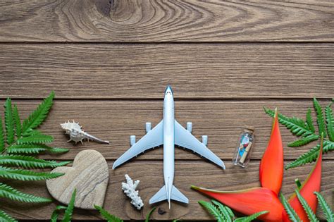 휴가 여행 여름 열 대 섬 주말 모험 여행 배경 개념 평면도 복사본 공간 열 대 꽃 바다 조개와 고 사리 나무 배경에 소형 장난감 비행기 개념에 대한 스톡 사진 및 기타