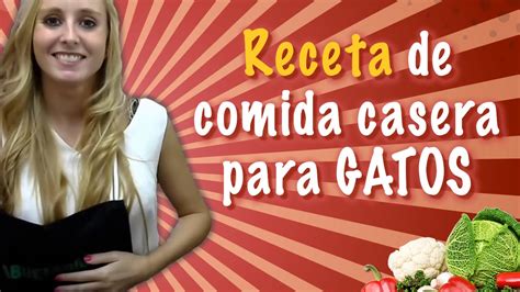 Receta De Comida Casera Para Gatos Youtube