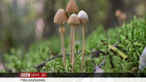 ရခိုင်ကမ်းလွန်ပင်လယ်ထဲ တရုတ် အာကာသယာဉ် အစိတ်အပိုင်းကျ Bbc News မြန်မာ