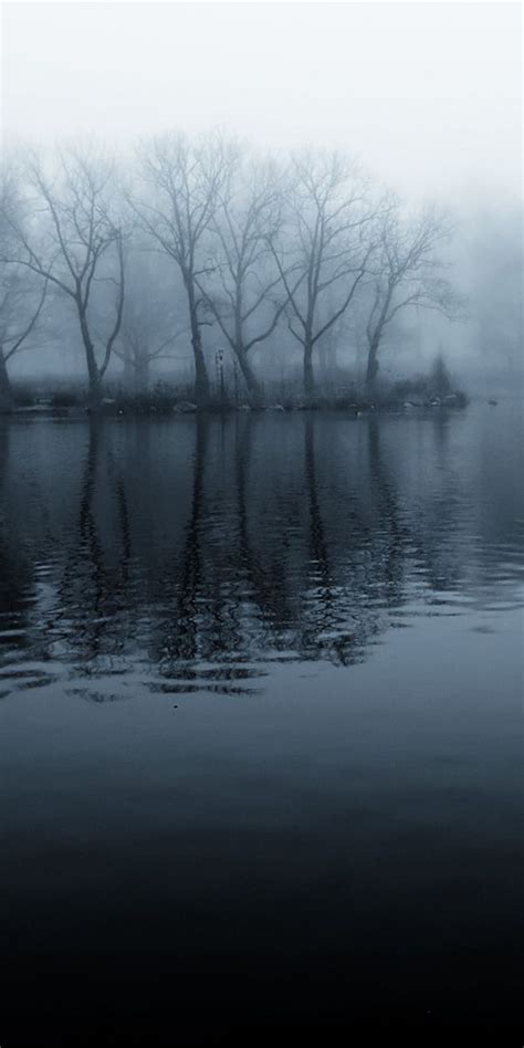 Обои на рабочий стол Вода Туман Земля природа Отражение Озеро Озера Ландшафт Дерево