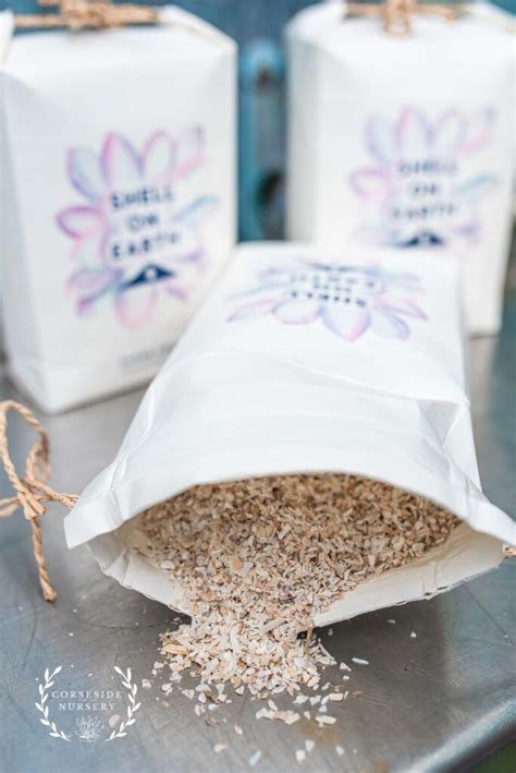 Shell On Earth Super Crushed Welk Shell For Succulents 1kg Bag