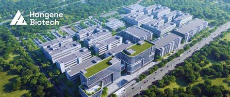 重磅高纯Oligo生产工艺实现产业化 兆维科技商业化小核酸药物生产基地正式投入使用 公司