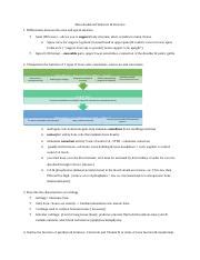 MSK Patho Study Guide Docx Musculoskeletal Structure Function Differentiate Between The