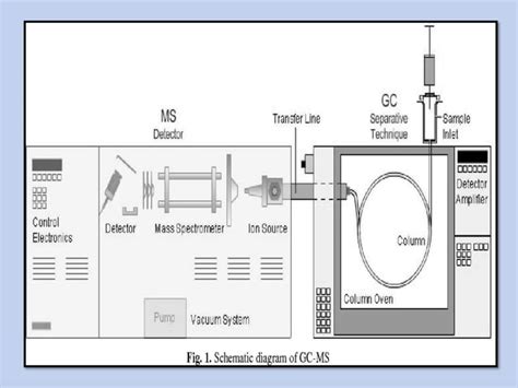 Gas Chromatography Mass Spectrometry Gc Ms Pptx