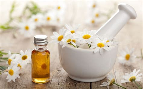 Chiết Xuất Hoa Cúc La Mã Chamomile Extract Là Gì Có Công Dụng Gì Cho Da