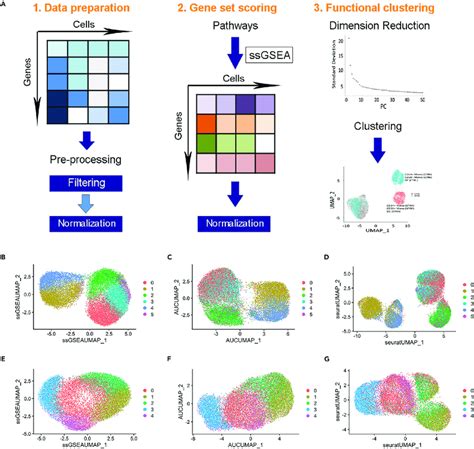 Detection Of Heterogeneity Of Hadscs By A New Functional Clustering