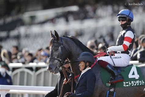 ミニトランザットの写真一覧 競馬ラボ