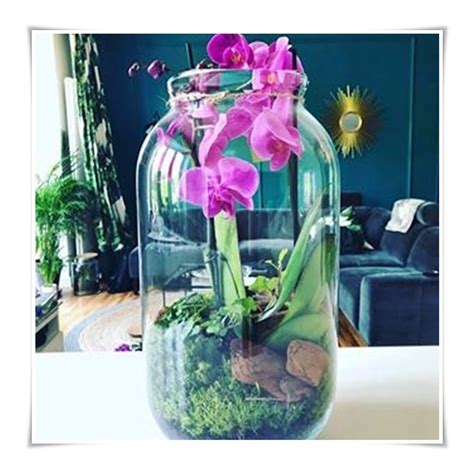 Szklany Słoik Ozdobny BaryŁka H 42 Cm D 23 Cm