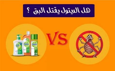هل الديتول يقتل حشرة البق؟ تعرف على طريقة استخدامه