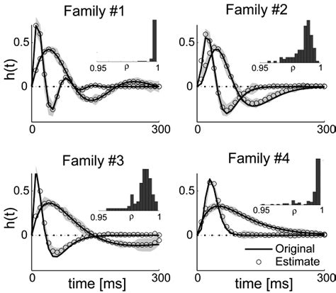 Estimation Of The Linear Filter Kernel Examples Representative