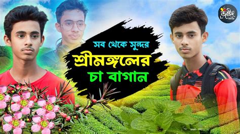 অপূর্ব সুন্দর শ্রীমঙ্গলের চা বাগান শ্রীমঙ্গল ভ্রমণ গাইড Vlog 2023