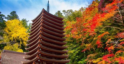 Nara: Private Tour with Private Guide | GetYourGuide