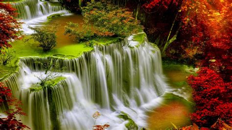 Top Angle View Of Greenery Stream Waterfalls Surrounded By Colorful