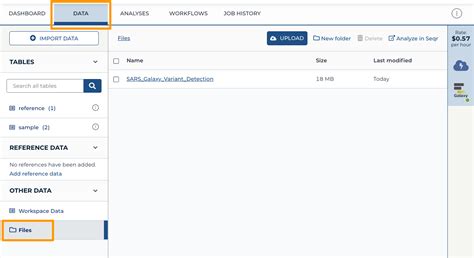 Hands On Sars Cov 2 Viral Sample Alignment And Variant Visualization