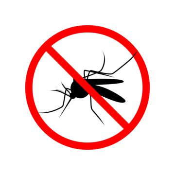 Green Mosquito Vector Or Color Illustration Color Malaria Skin Vector Color Malaria Skin PNG