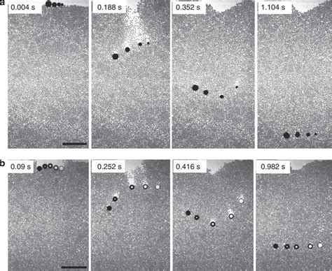 Impact And Penetration Of A Heterogeneous Group Of Intrudersa Four