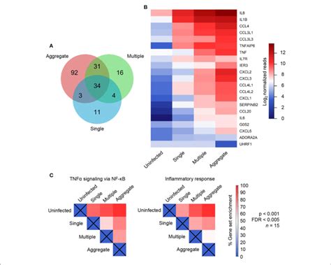 Individual Genes And Gene Sets Were Differentially Regulated In Download Scientific Diagram