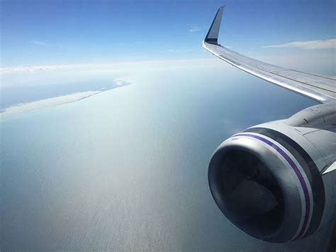 Can A Bird Cause A Plane Crash Air Hostess Reveals Danger Of Bird