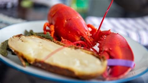 Shady Things About Red Lobsters Menu